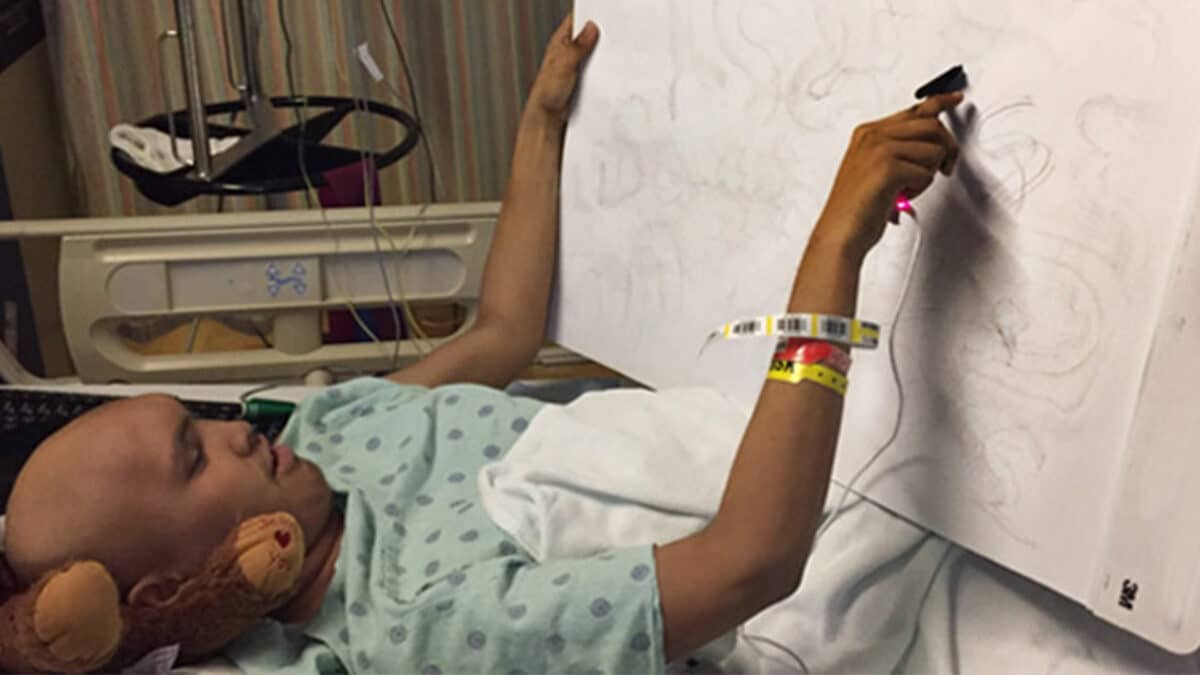 David A. Cofrin Asian Art Wing Rock Garden - Harn Museum of Art