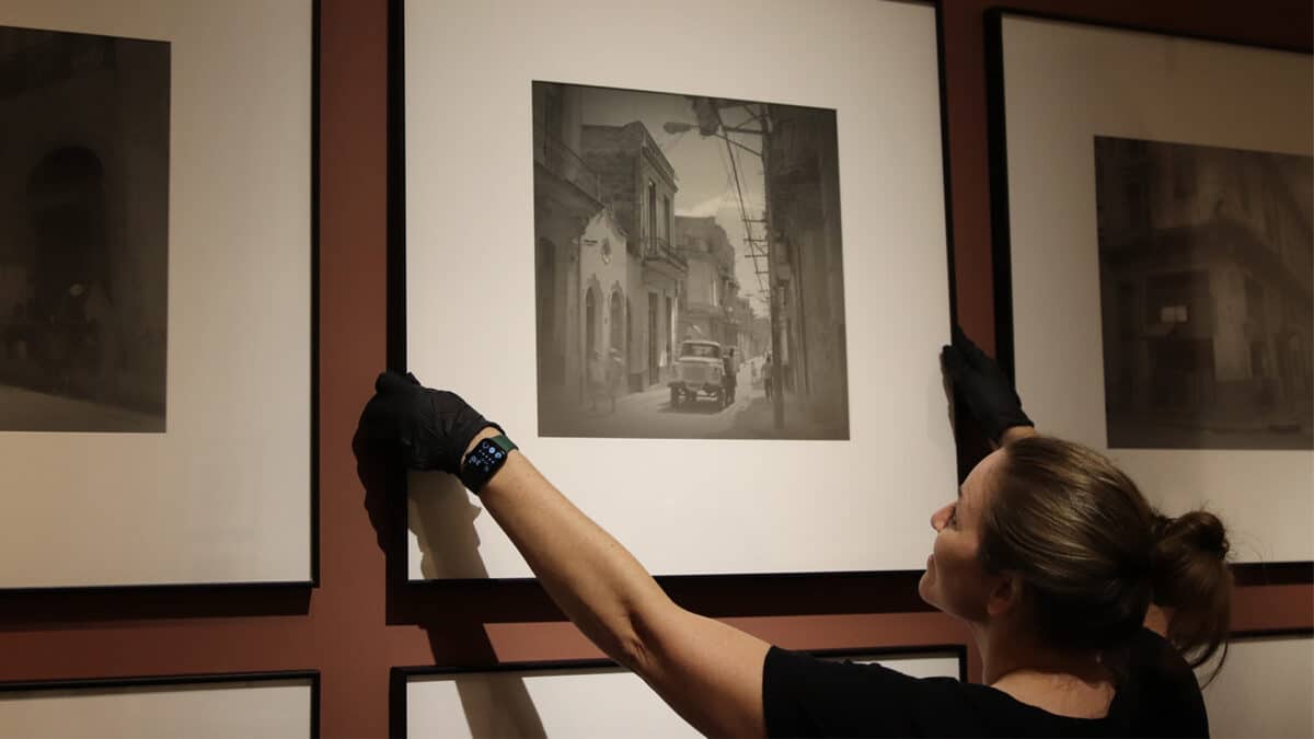 Careers - Job Openings - Harn Museum of Art