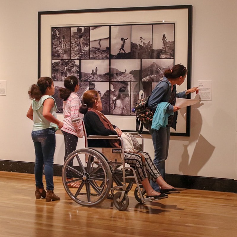 Plan Your Visit - Exhibitions & Events - Harn Museum of Art