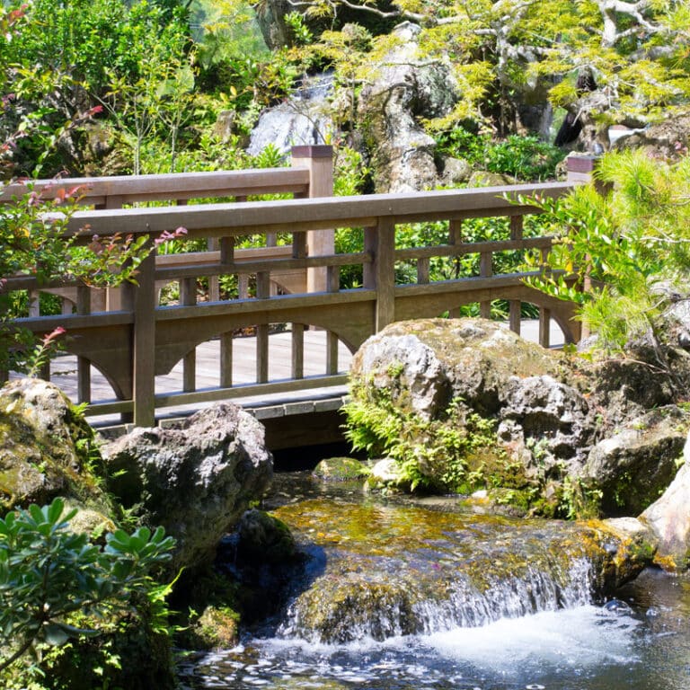 Plan Your Visit - Exhibitions & Events - Harn Museum of Art