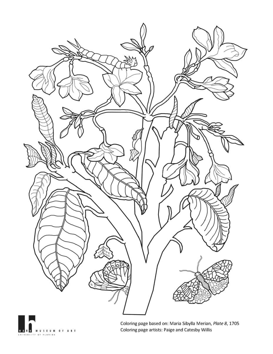 Rajasthani Painting Coloring Page Inspired by Indian Artists - Harn ...