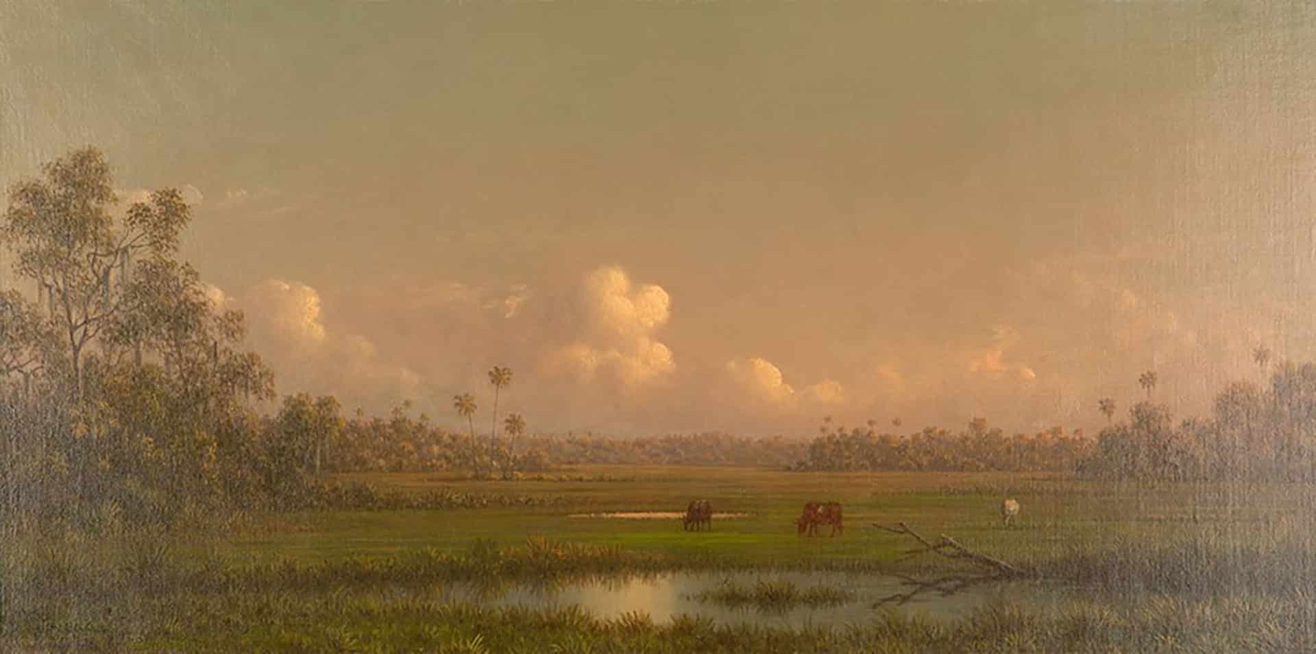 The Water Systems of North and Central Florida - Harn Museum of Art