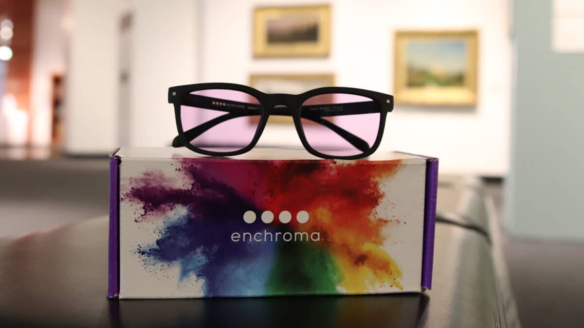 EnChroma Color Blind Glasses - Harn Museum of Art