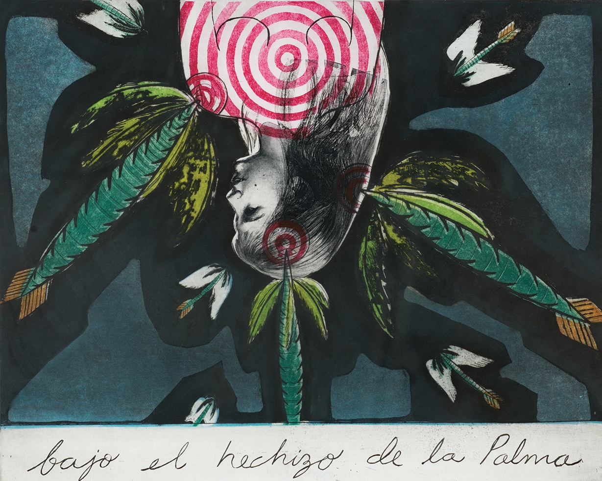 "Under the Spell of the Palm Tree" Q&A - Harn Museum of Art